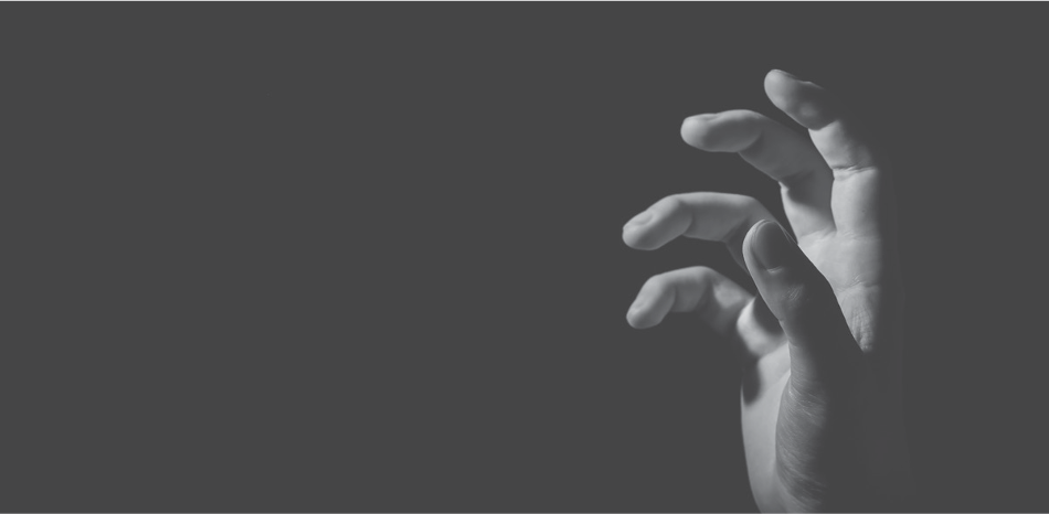 Nos services – Heracles Conseil